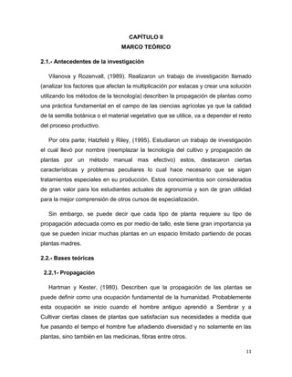 1b 4 agr (cilantrillo plateado) | DOCX