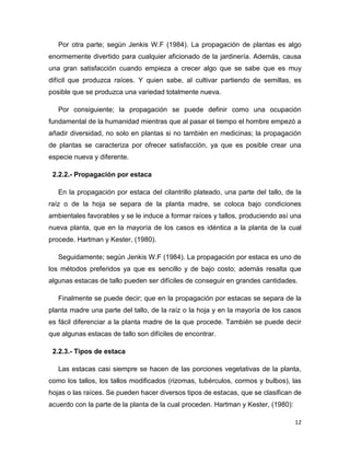 1b 4 agr (cilantrillo plateado) | DOCX