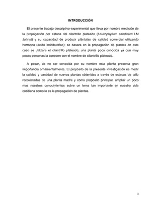 1b 4 agr (cilantrillo plateado) | DOCX