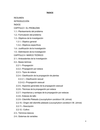 1b 4 agr (cilantrillo plateado) | DOCX