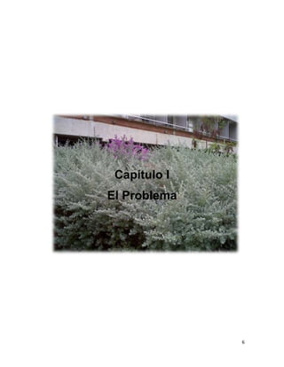 1b 4 agr (cilantrillo plateado) | DOCX
