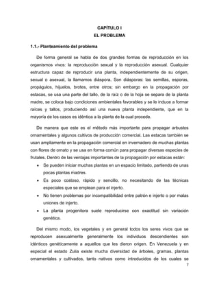 1b 4 agr (cilantrillo plateado) | DOCX
