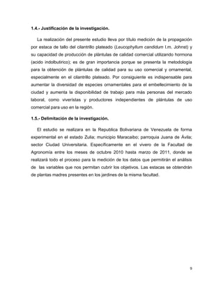 1b 4 agr (cilantrillo plateado) | DOCX