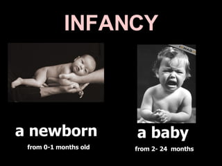 1b. Ages And Stages Vocabulary | PPT