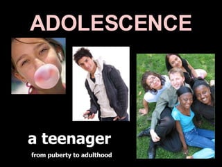 1b. Ages And Stages Vocabulary | PPT