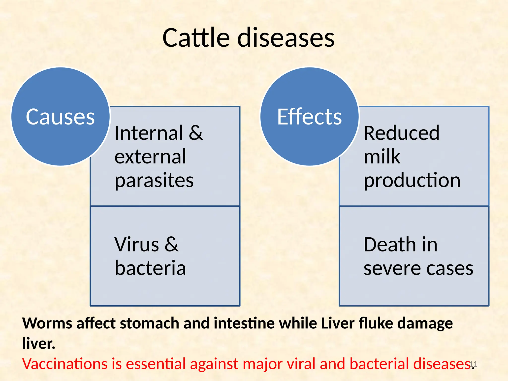1 B- ANIMAL HUSBANDARY-Full.CLASS 9 CBSE x | PPTX