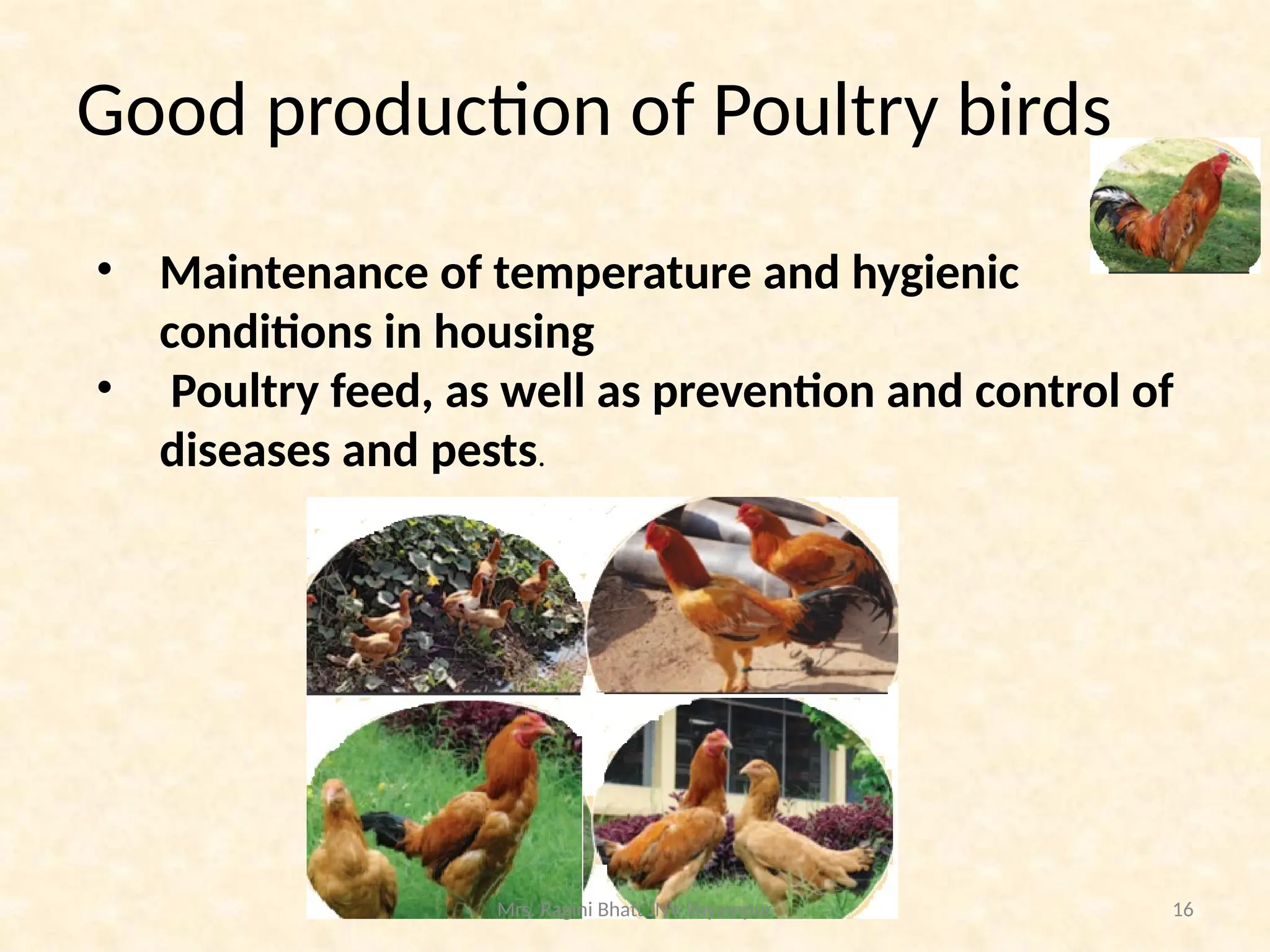 1 B- ANIMAL HUSBANDARY-Full.CLASS 9 CBSE x | PPTX