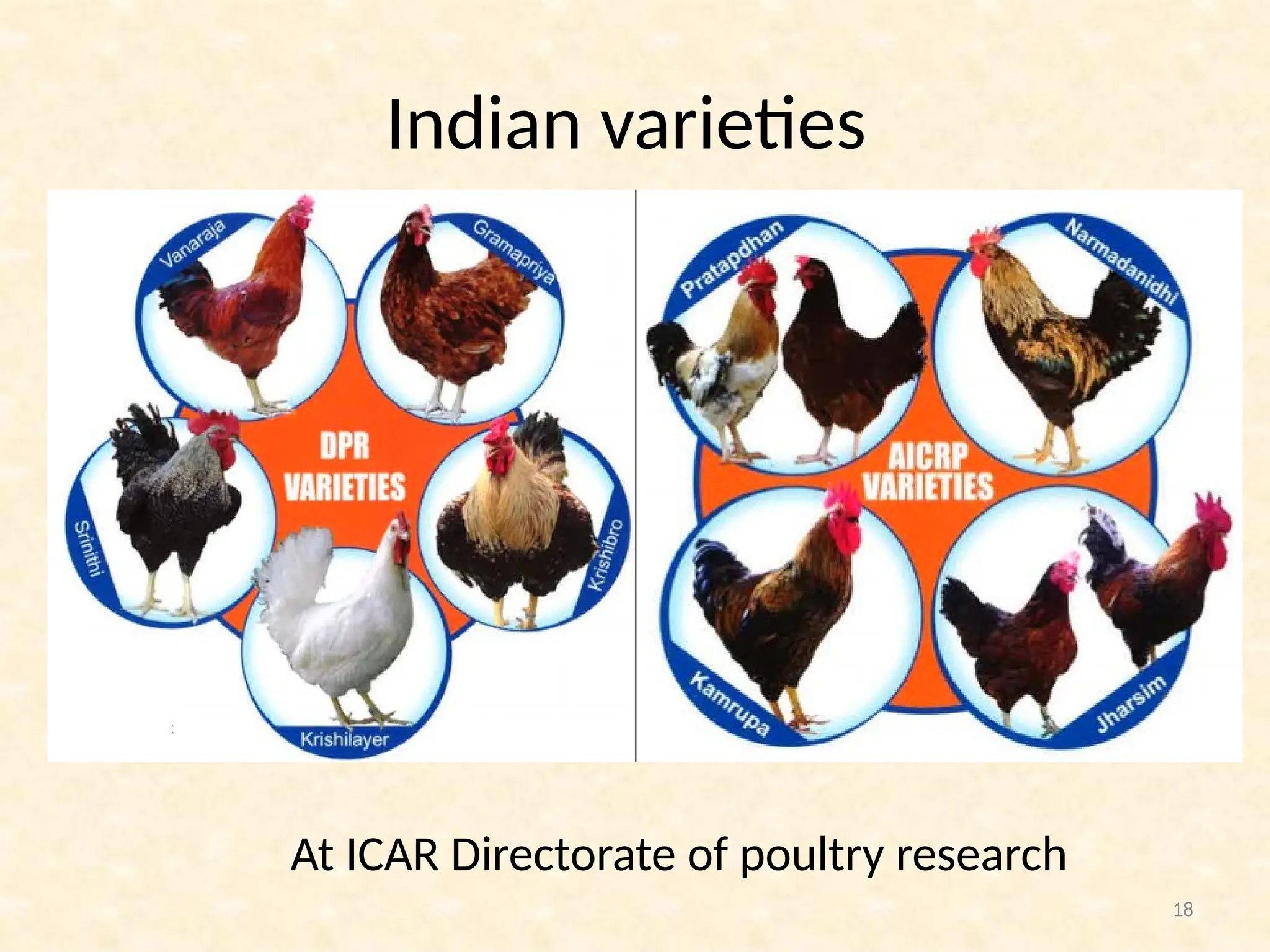 1 B- ANIMAL HUSBANDARY-Full.CLASS 9 CBSE x | PPTX