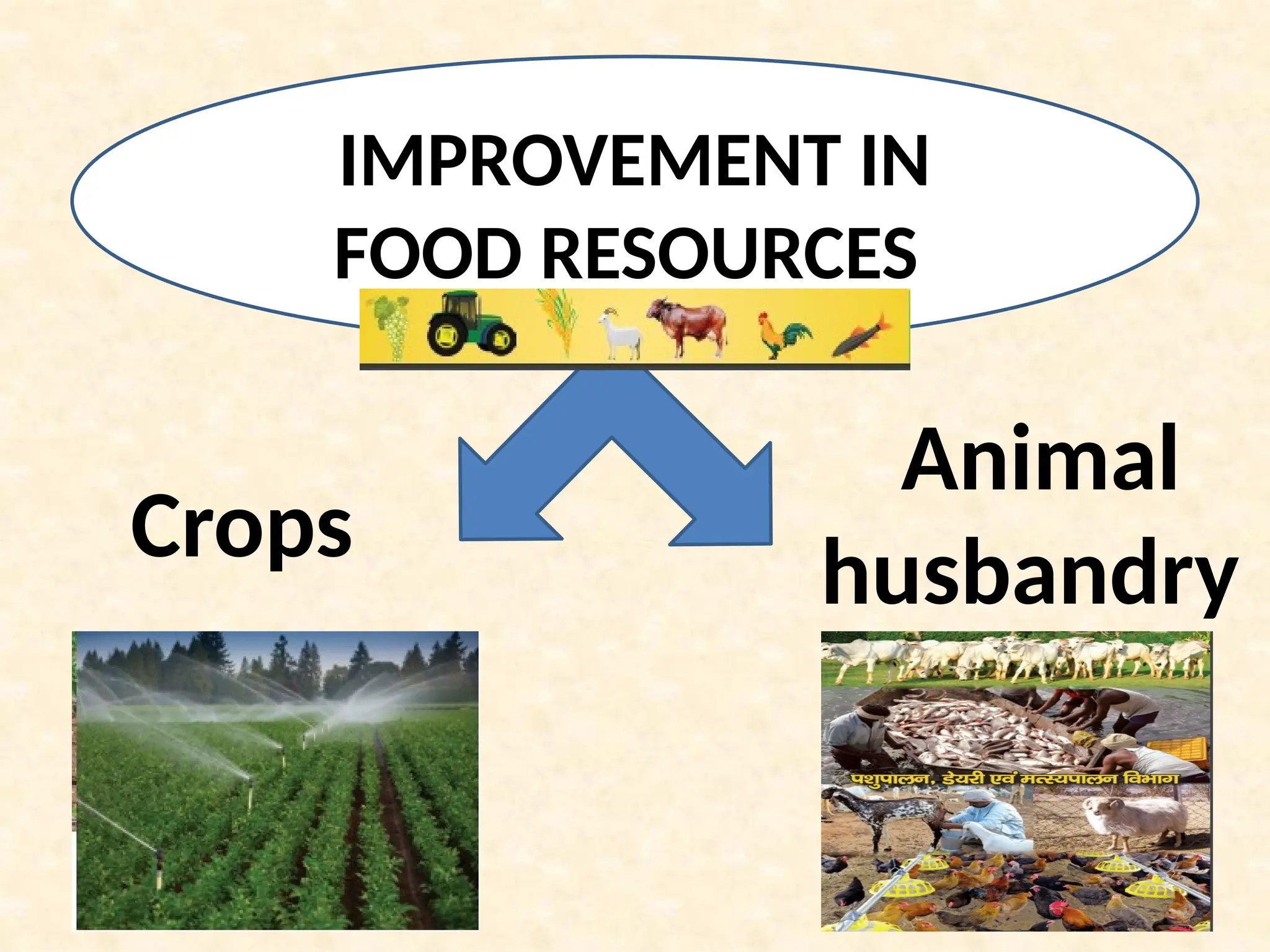 1 B- ANIMAL HUSBANDARY-Full.CLASS 9 CBSE x | PPTX