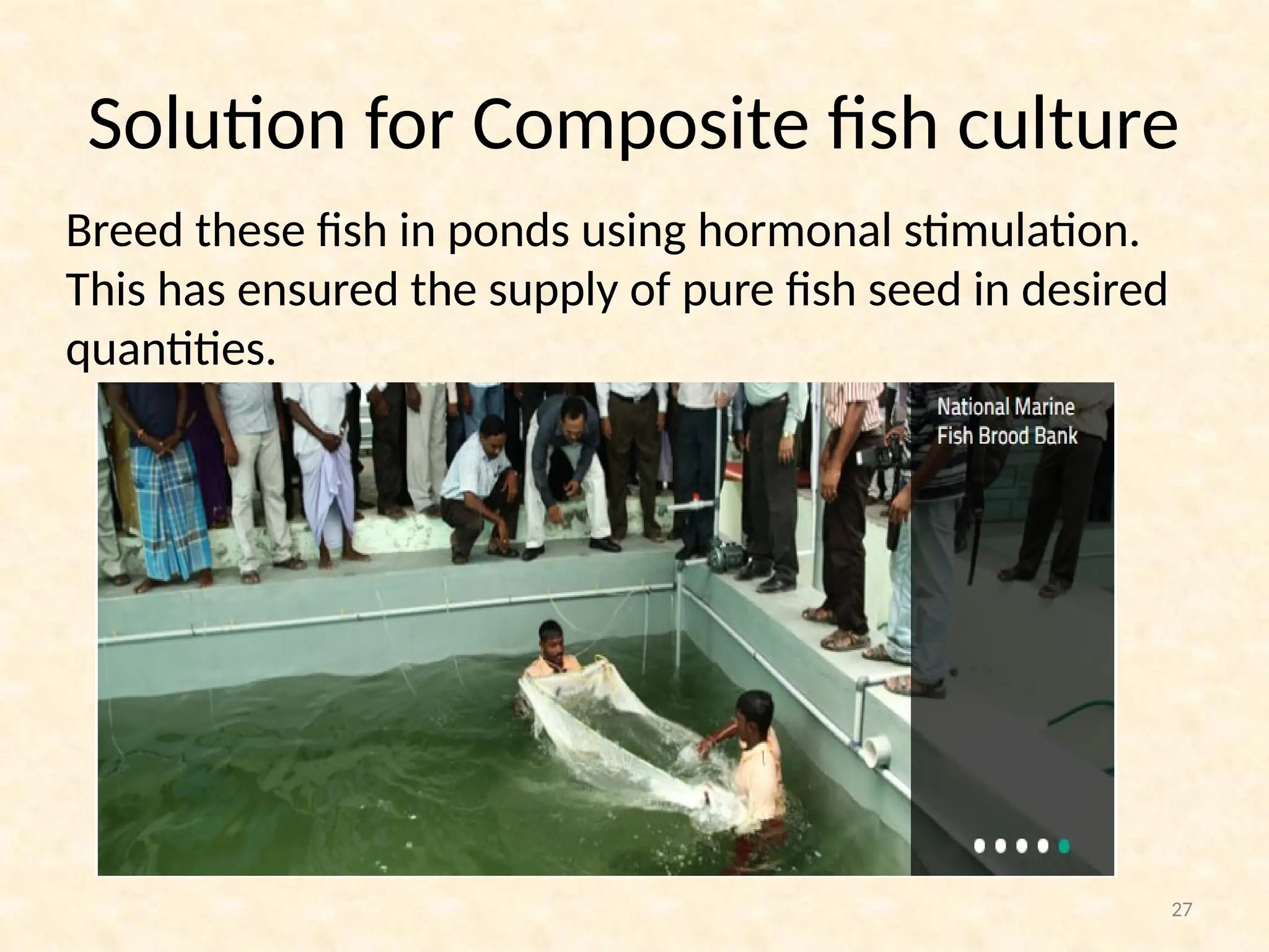 1 B- ANIMAL HUSBANDARY-Full.CLASS 9 CBSE x | PPTX