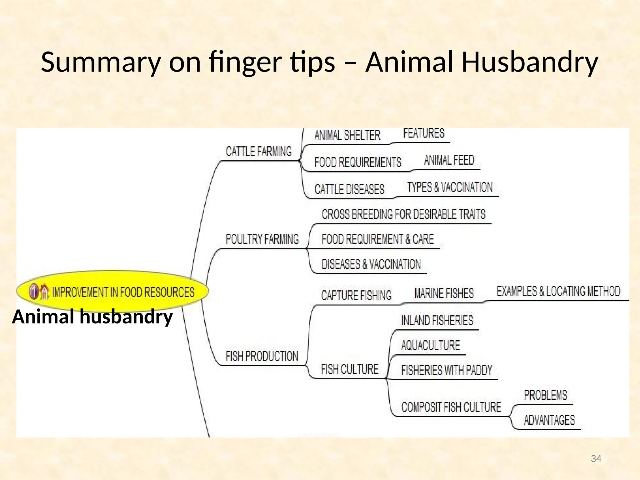 1 B- ANIMAL HUSBANDARY-Full.CLASS 9 CBSE x | PPTX