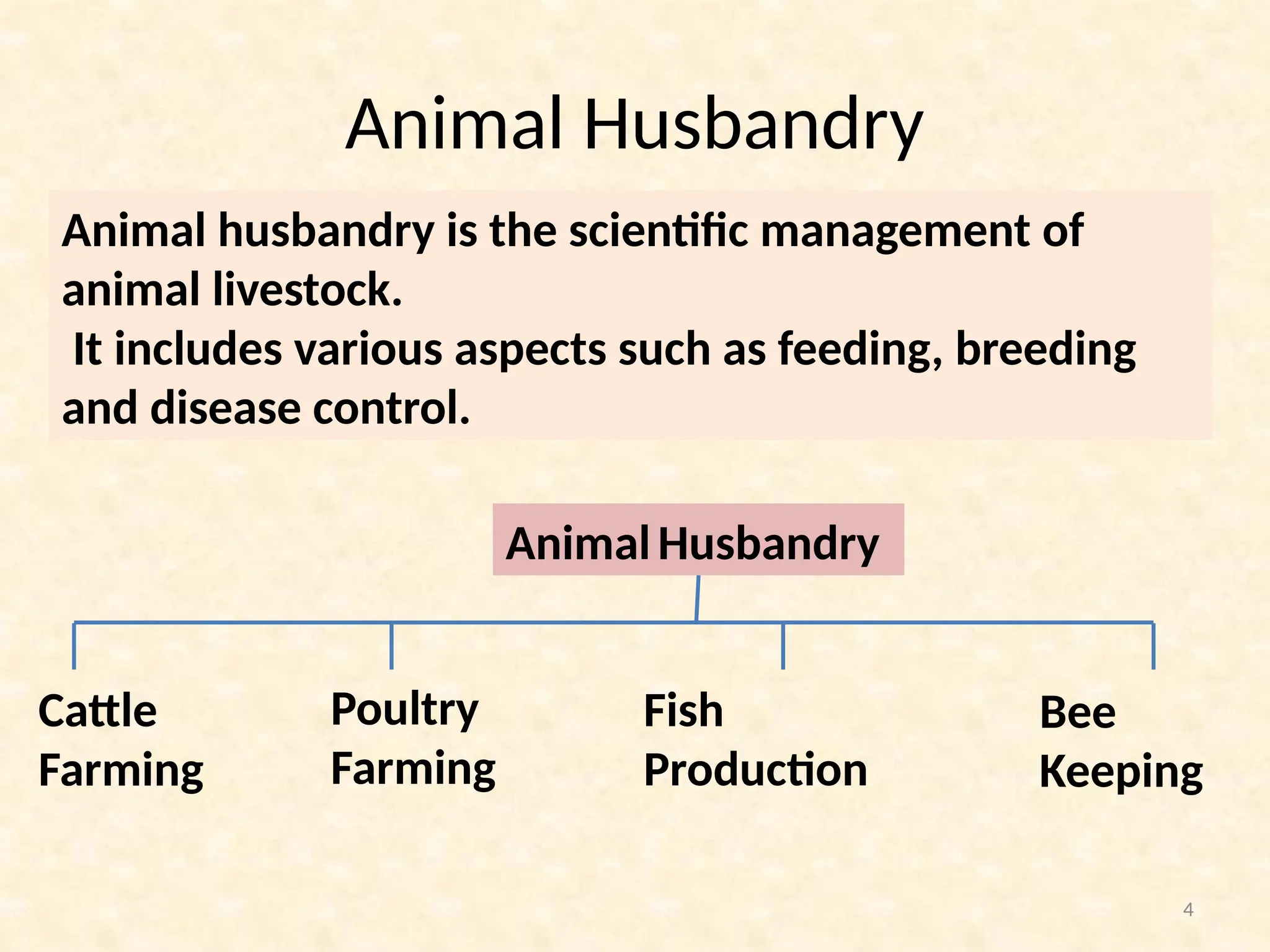 1 B- ANIMAL HUSBANDARY-Full.CLASS 9 CBSE x | PPTX