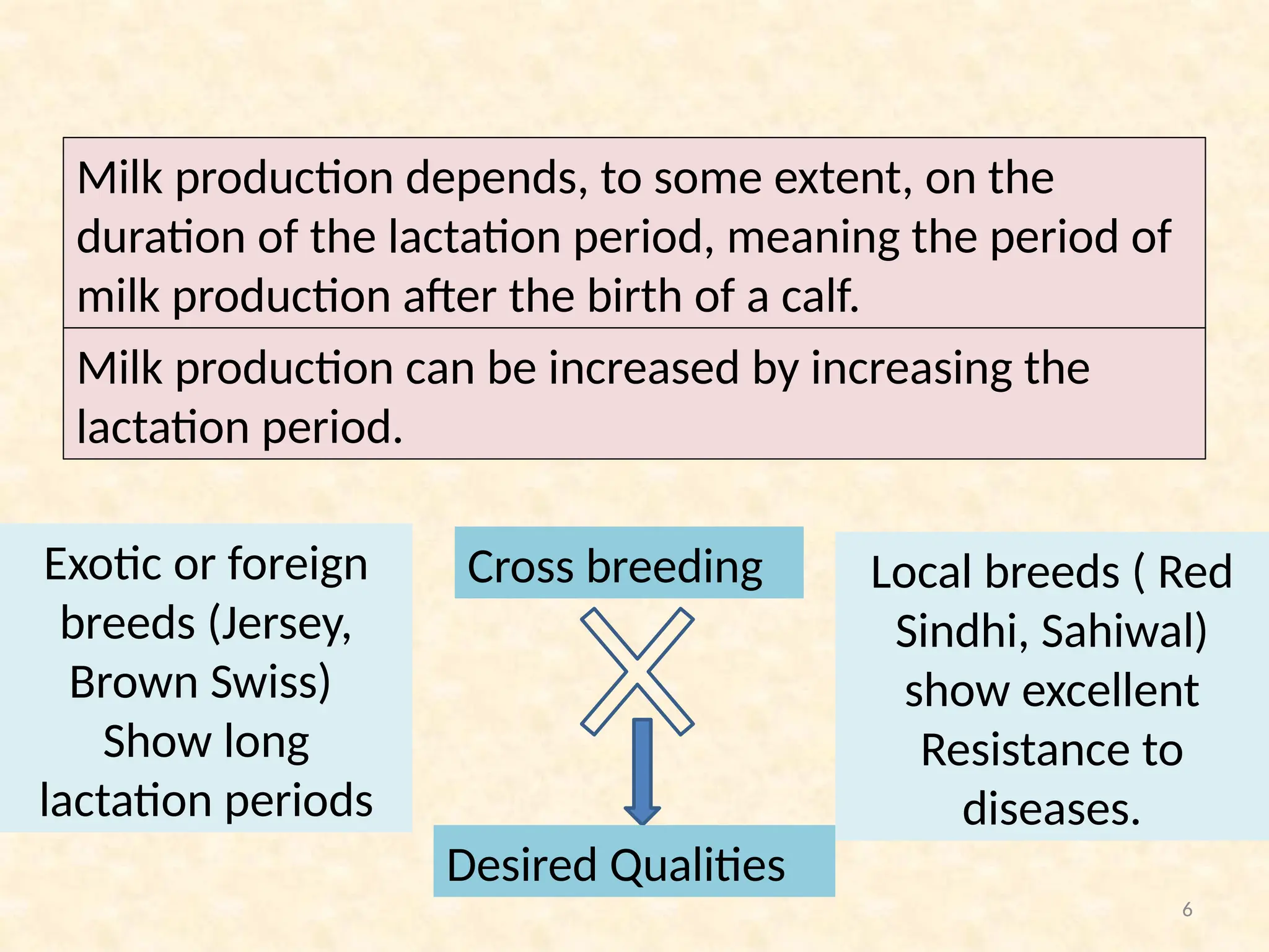 1 B- ANIMAL HUSBANDARY-Full.CLASS 9 CBSE x | PPTX