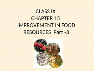1 B- ANIMAL HUSBANDARY-Full.CLASS 9 CBSE x | PPTX
