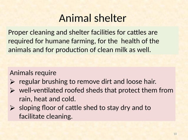 1 B- ANIMAL HUSBANDARY-Full.CLASS 9 CBSE x | PPTX | Agriculture ...