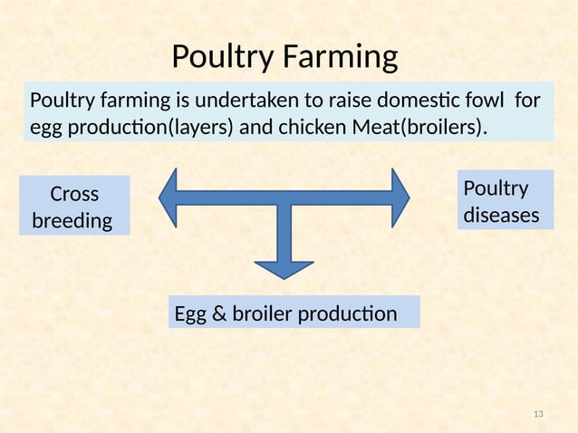 1 B- ANIMAL HUSBANDARY-Full.CLASS 9 CBSE x | PPTX | Agriculture | Industries