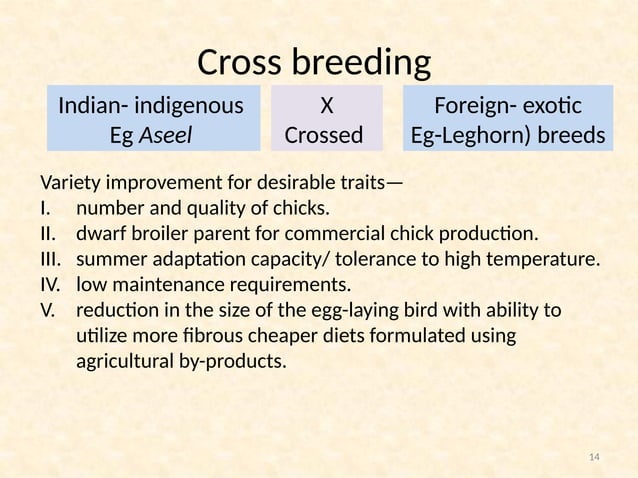 1 B- ANIMAL HUSBANDARY-Full.CLASS 9 CBSE x | PPTX | Agriculture | Industries