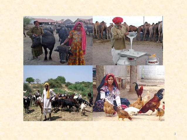 1 B- ANIMAL HUSBANDARY-Full.CLASS 9 CBSE x | PPTX | Agriculture ...