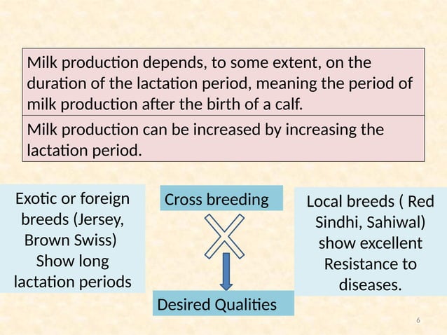 1 B- ANIMAL HUSBANDARY-Full.CLASS 9 CBSE x | PPTX | Agriculture ...