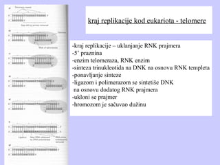 1b molekularna-osnova | PPT