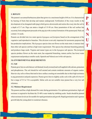 1b peanut production | PDF