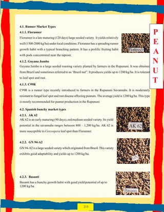 1b peanut production | PDF