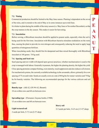 1b peanut production | PDF