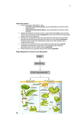 1b pertumbuhan-dan-perkembangan-rev1 | DOC