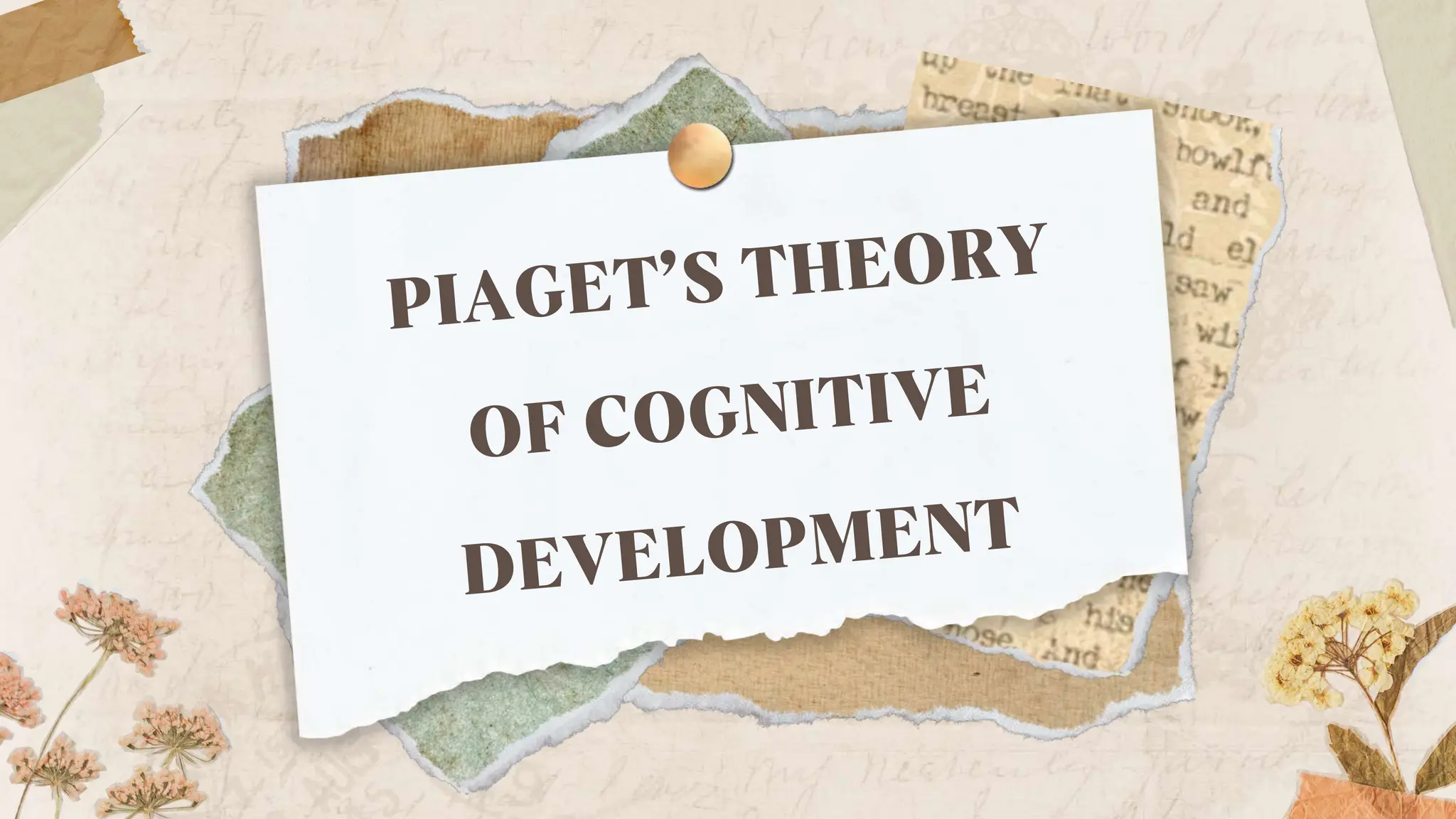 1B-jean-Piagets-Stages-of-Development.pptx | Parenting Babies and ...