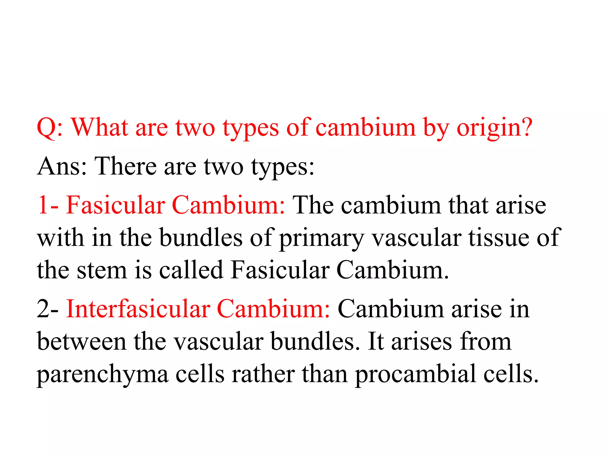 1b-Secondary Plant Body.pptx