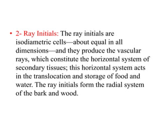 1b-Secondary Plant Body.pptx