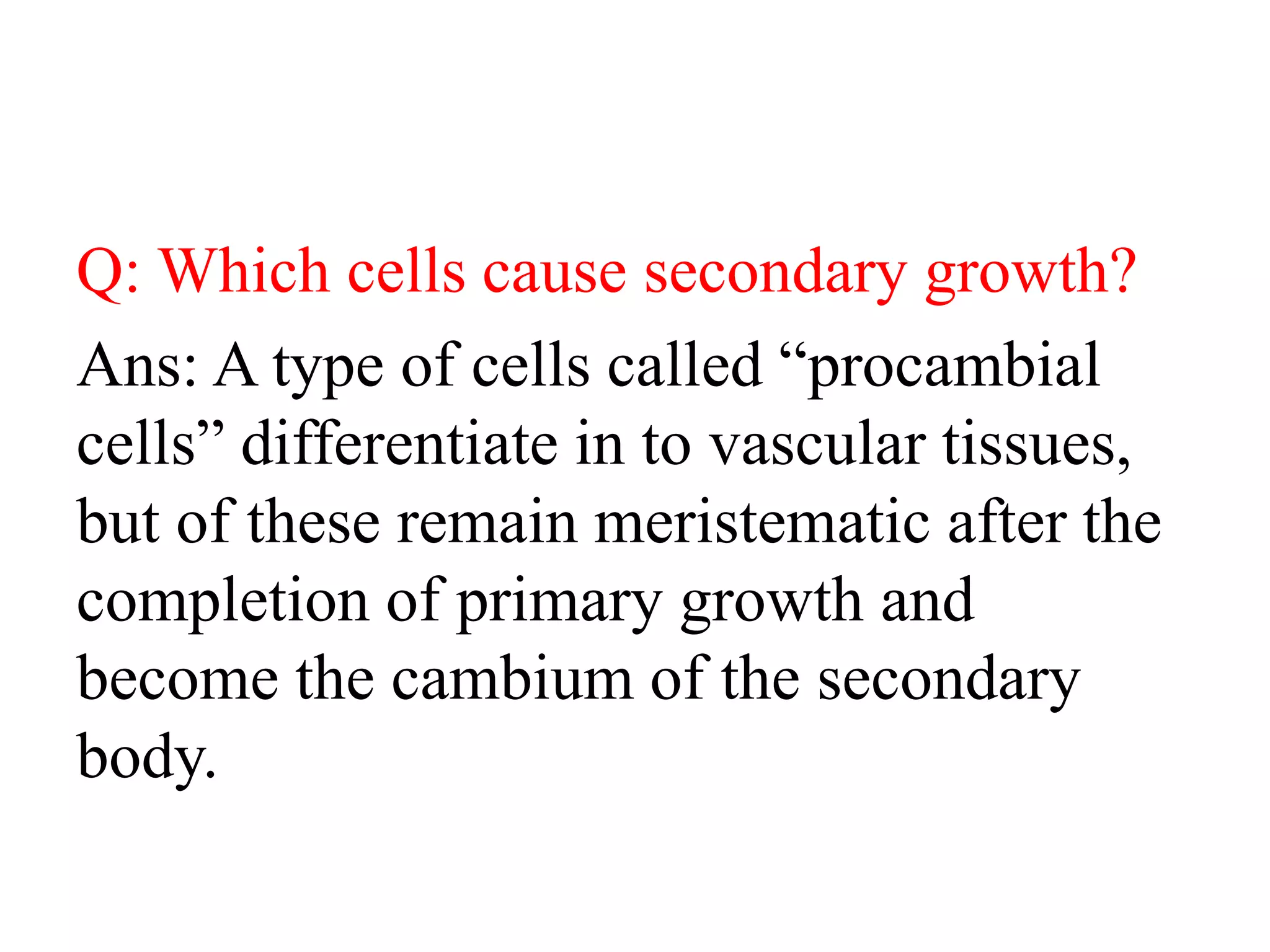 1b-Secondary Plant Body.pptx