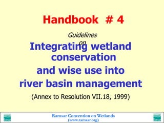 1b-wetland_salathe.ppt