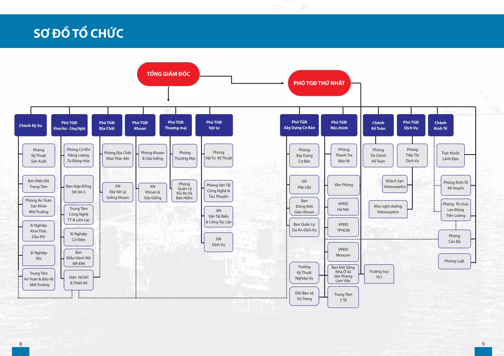 VSP brochure-company org chart | PDF