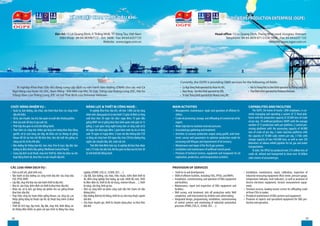 VSP brochure-company org chart | PDF