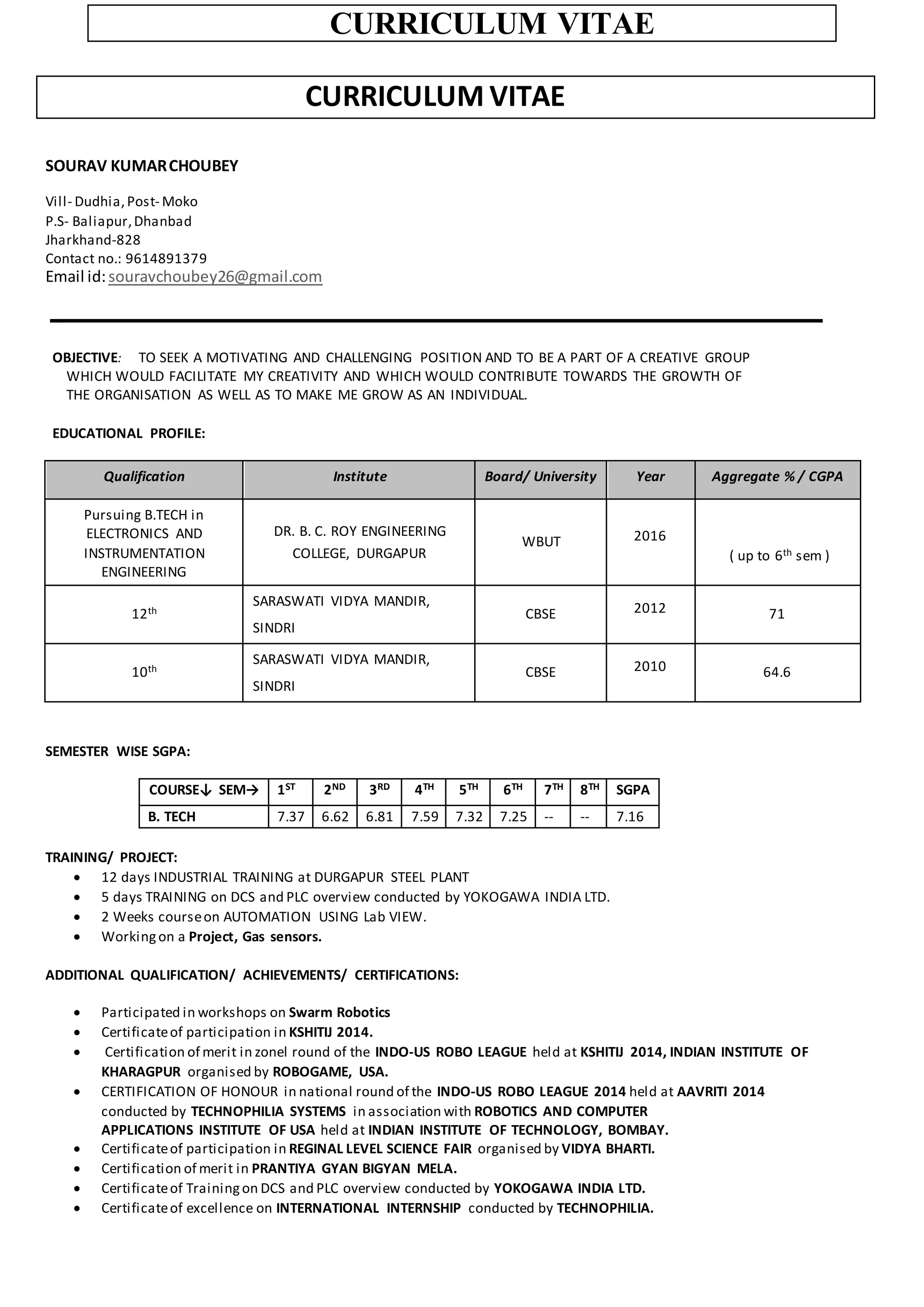 CURRICULUM VITAE | PDF