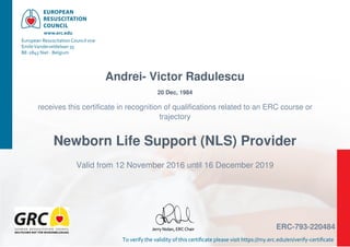 ERC NLS Diplom | PDF