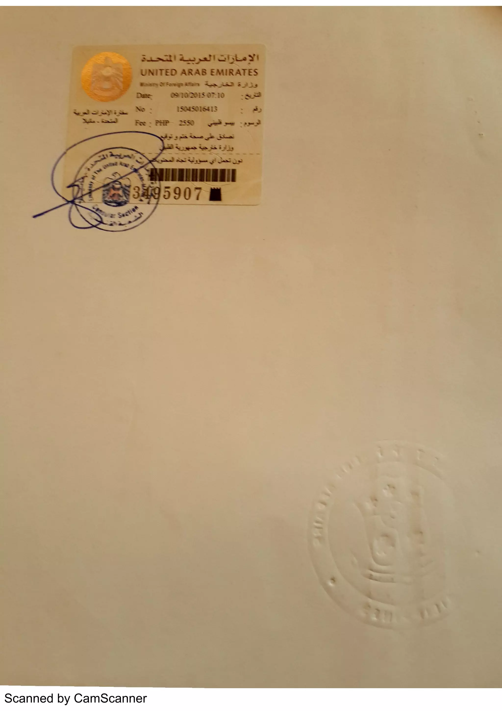 College Diploma | PDF