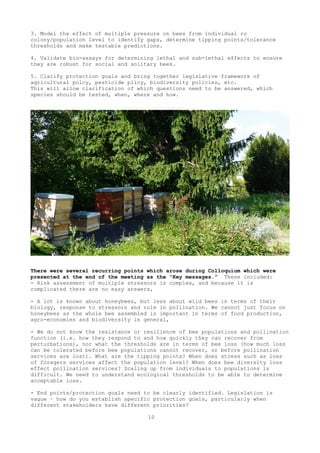 SAVE OUR BEES | PDF