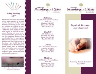 Dry Needling Brochure All Locations | PDF