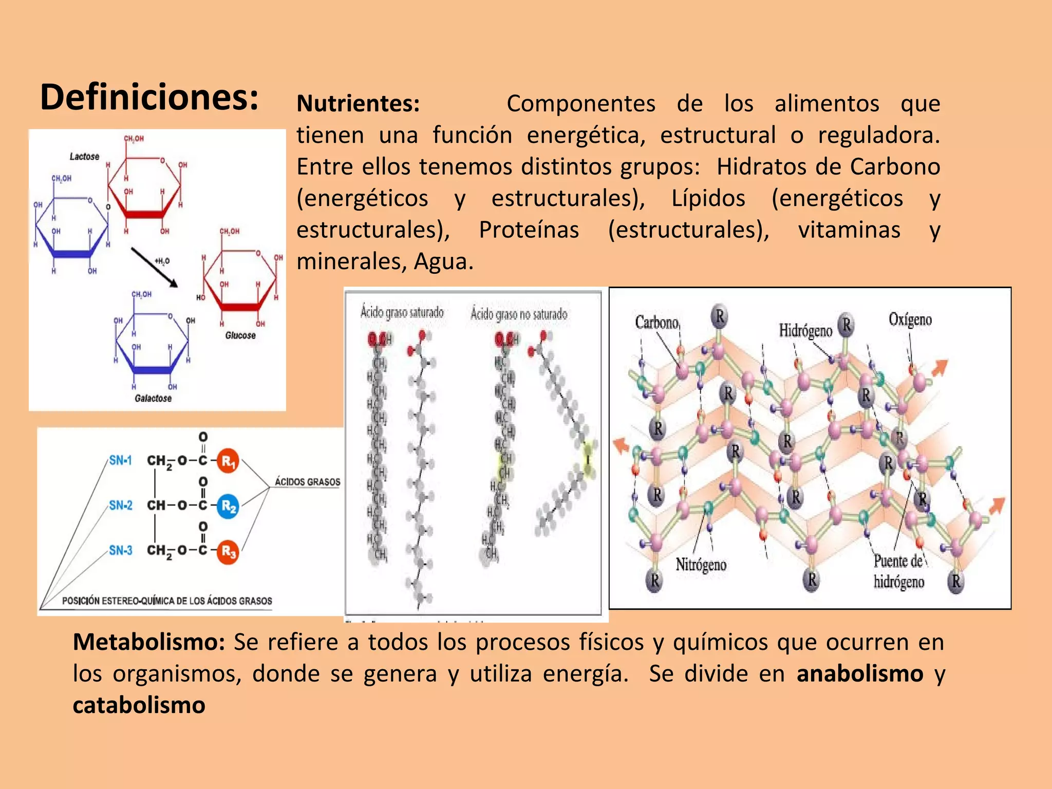 1º bachillerato nutrición y metabolismo energetico | PPT