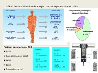 1º bachillerato nutrición y metabolismo energetico | PPT