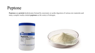 Bacteriological Media | PPTX