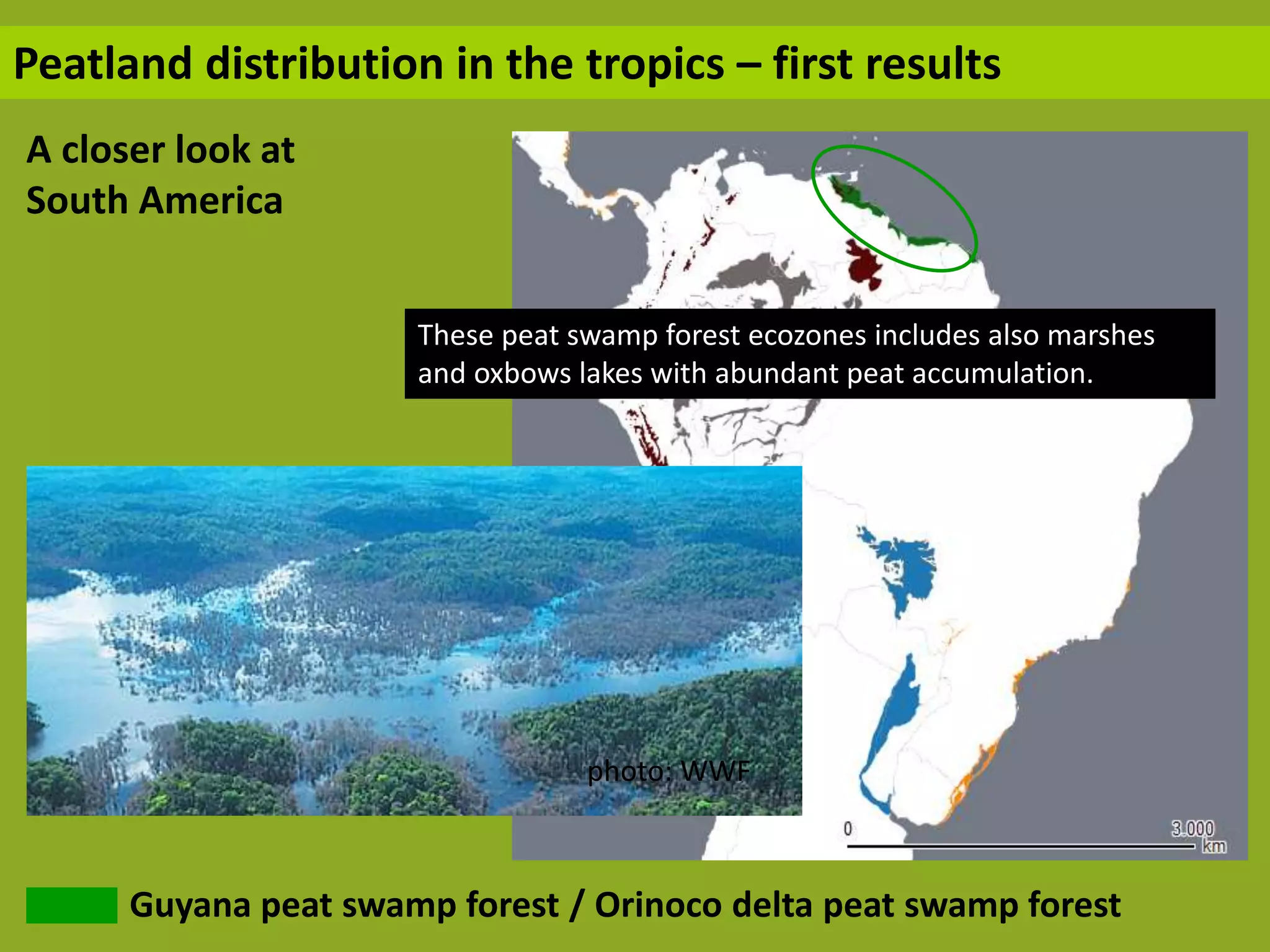 Distribution and degradation status of tropical peatland types | PPTX