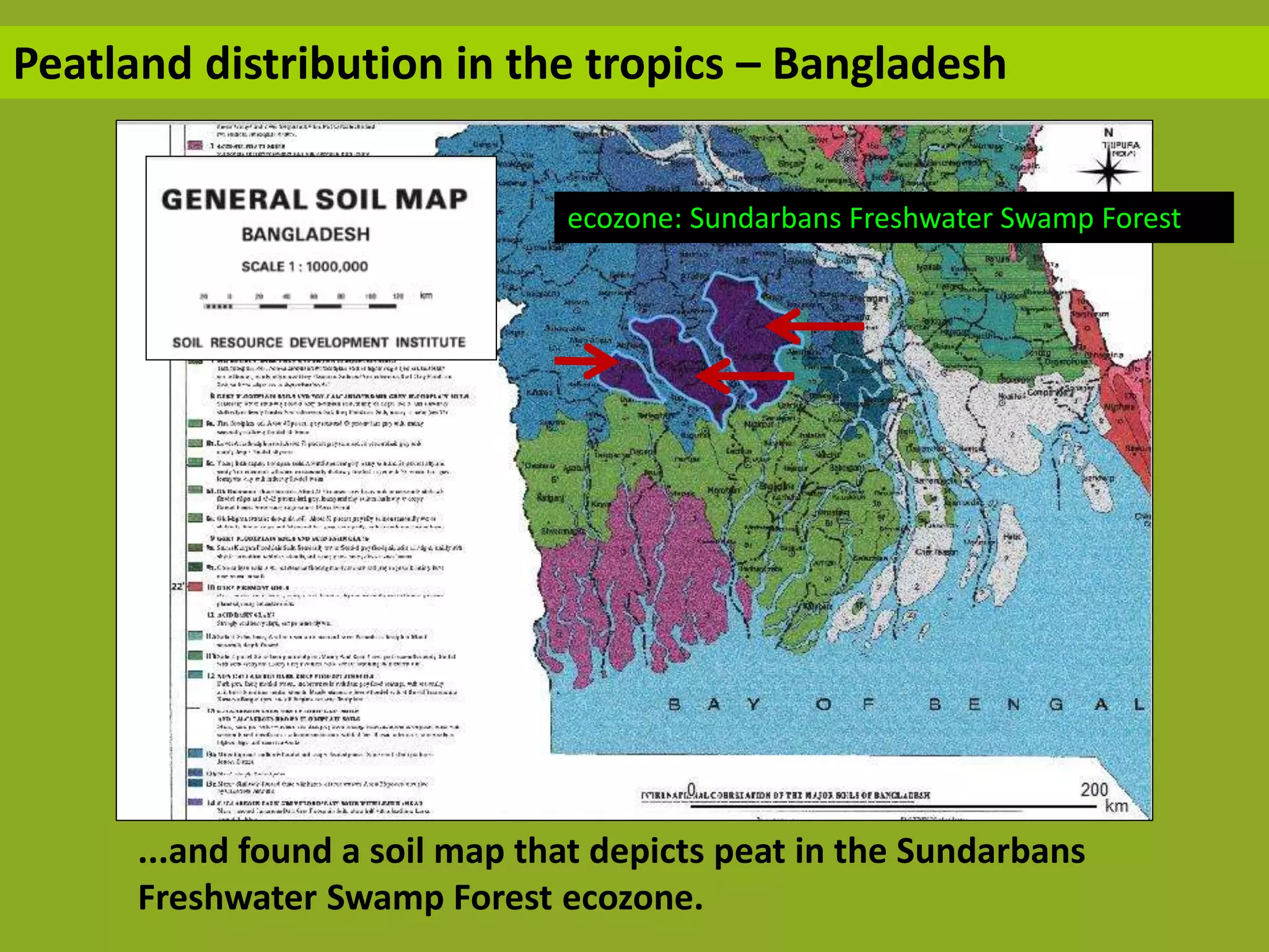 Distribution and degradation status of tropical peatland types | PPTX