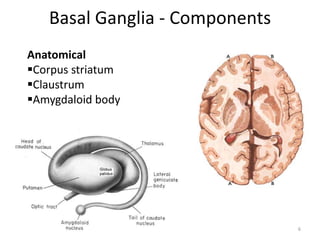 1 basal ganglia | PPTX