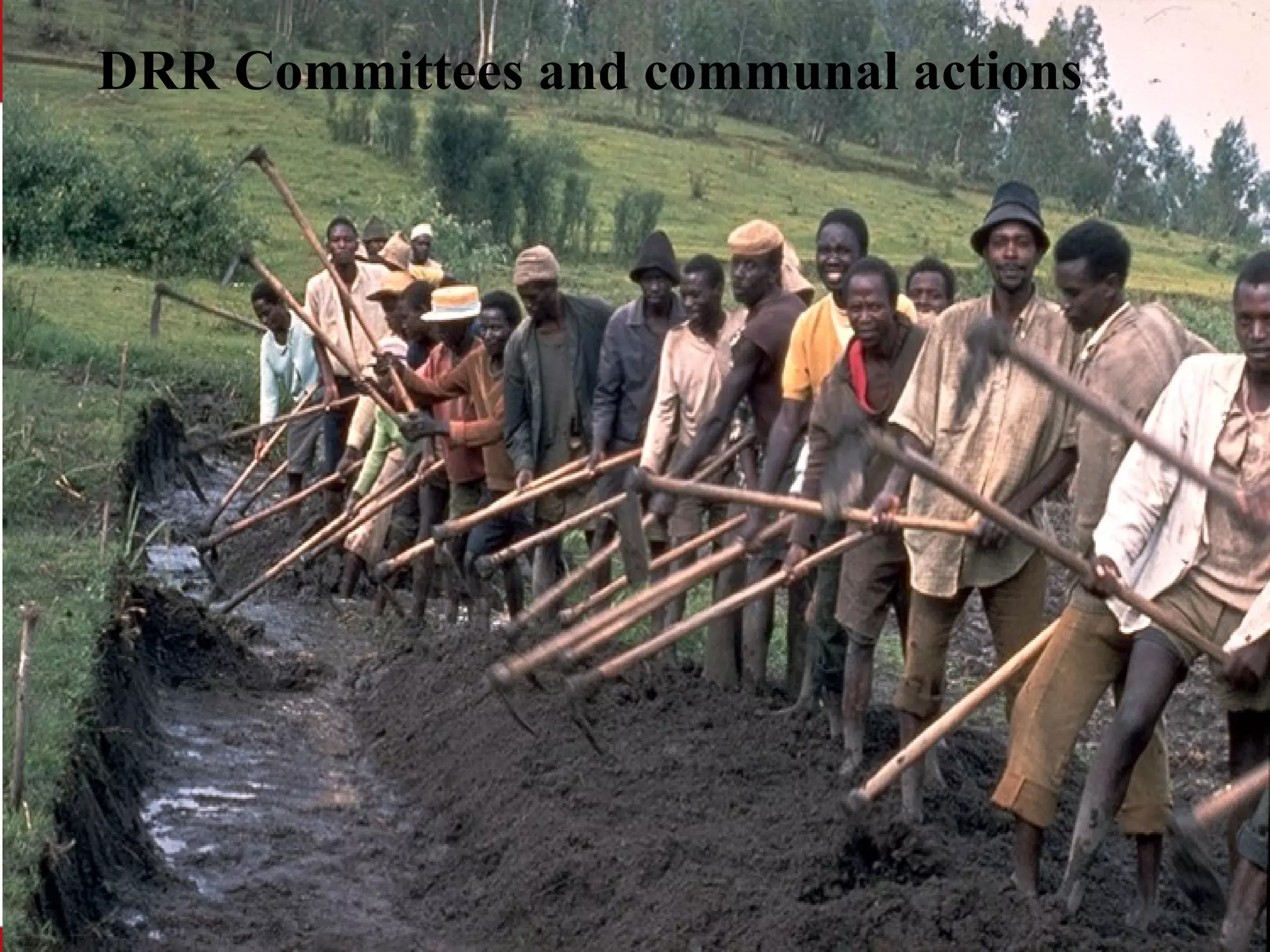 DRR basic concepts and terminologies of disaster risk reduction DRR | PPT