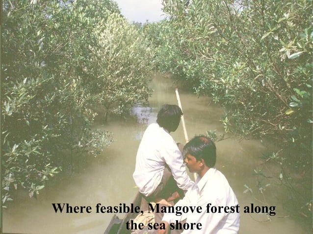 DRR basic concepts and terminologies of disaster risk reduction DRR | PPT