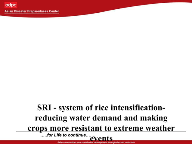 DRR basic concepts and terminologies of disaster risk reduction DRR | PPT