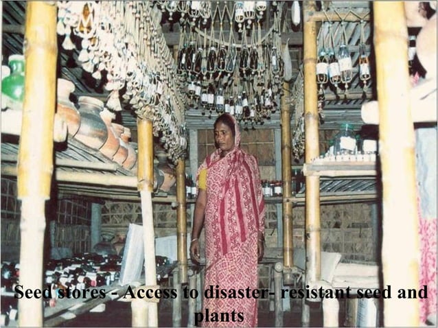 DRR basic concepts and terminologies of disaster risk reduction DRR | PPT